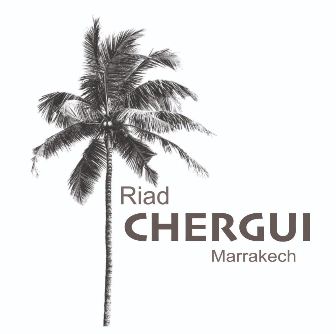 Riad Chergui Marrakesh | Riad with swimming pool | Best rates guaranteed