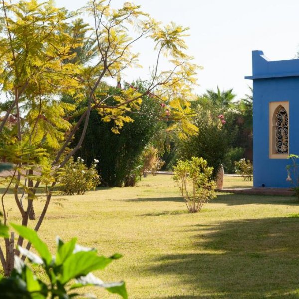 Atlas Widan | Official website