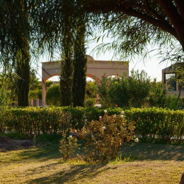 Atlas Widan | Official website