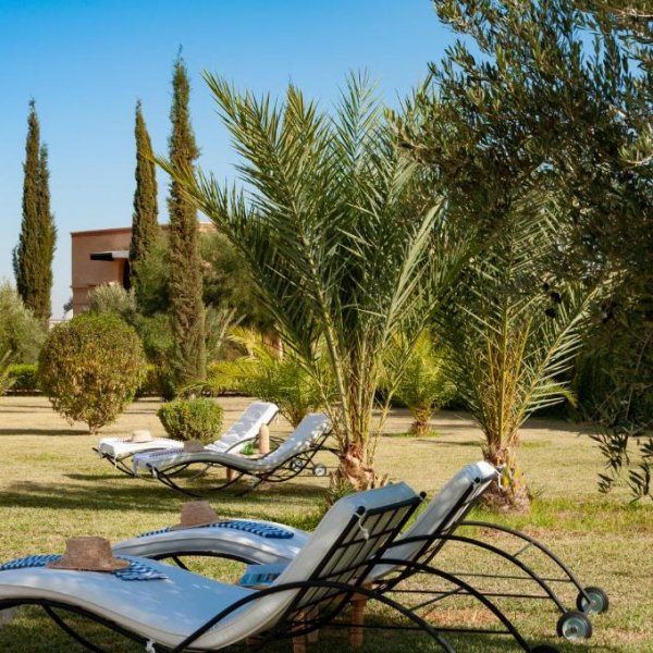 Atlas Widan | Official website